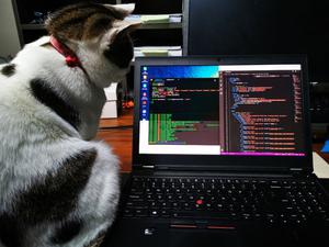 Python Challenge for Beginner | rosalind - Karobben